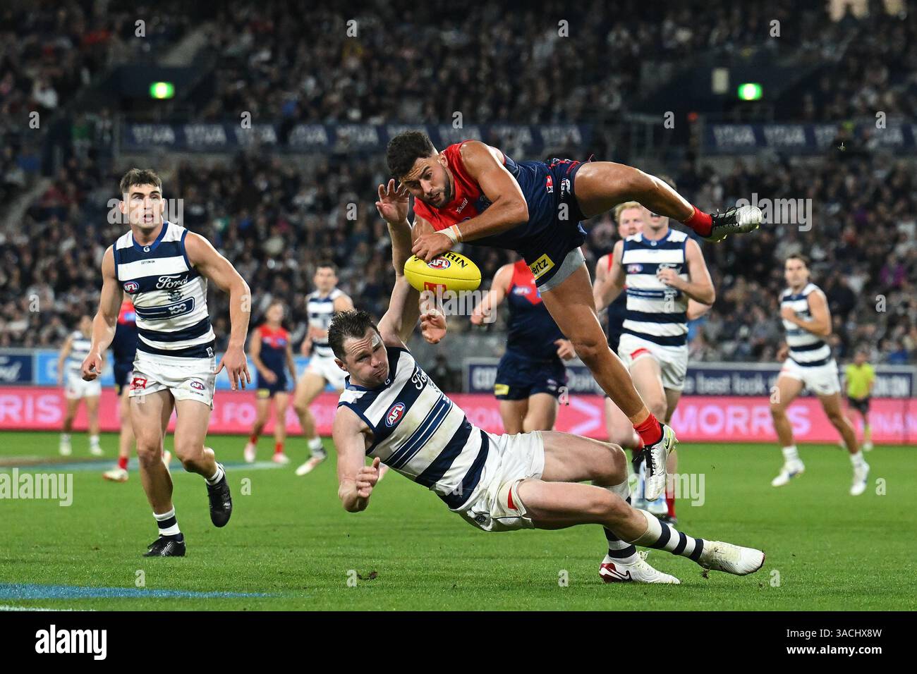 Christian Salem of the Demons marks the footy over Patrick Dangerfield ...