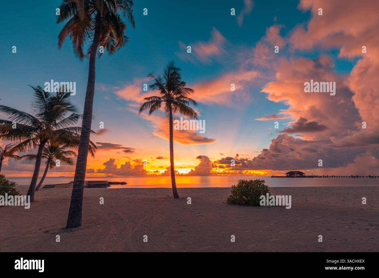 Beautiful panoramic sunset tropical paradise beach. Tranquil summer ...