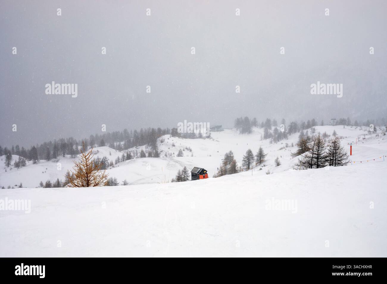 fog and snow at the top of a ski slope with reflective signs. Active ...