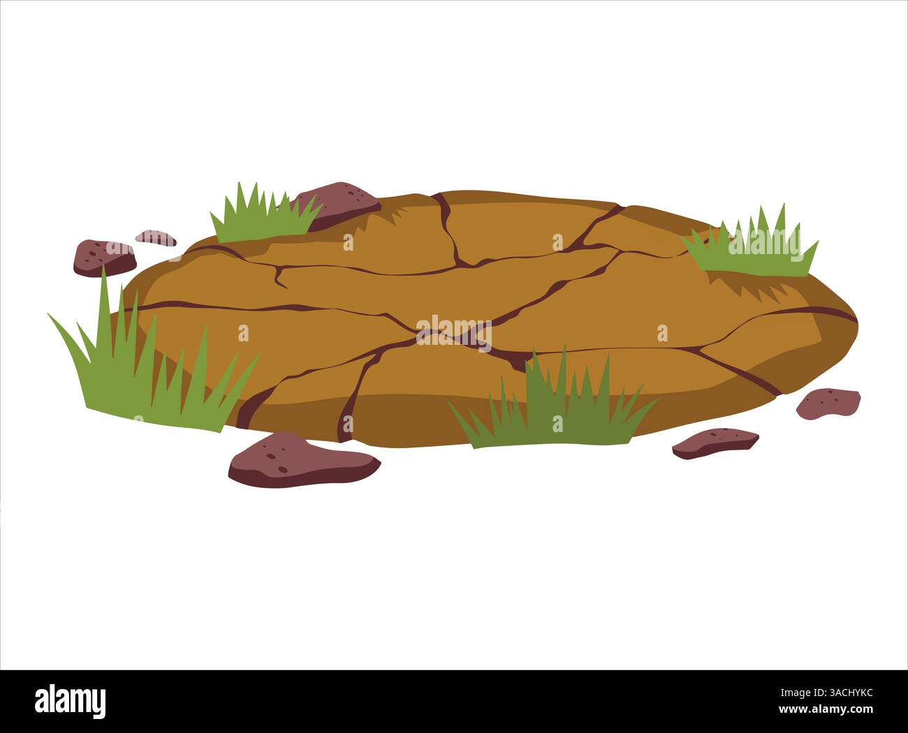 Green dry grass in Stock Vector Images - Alamy