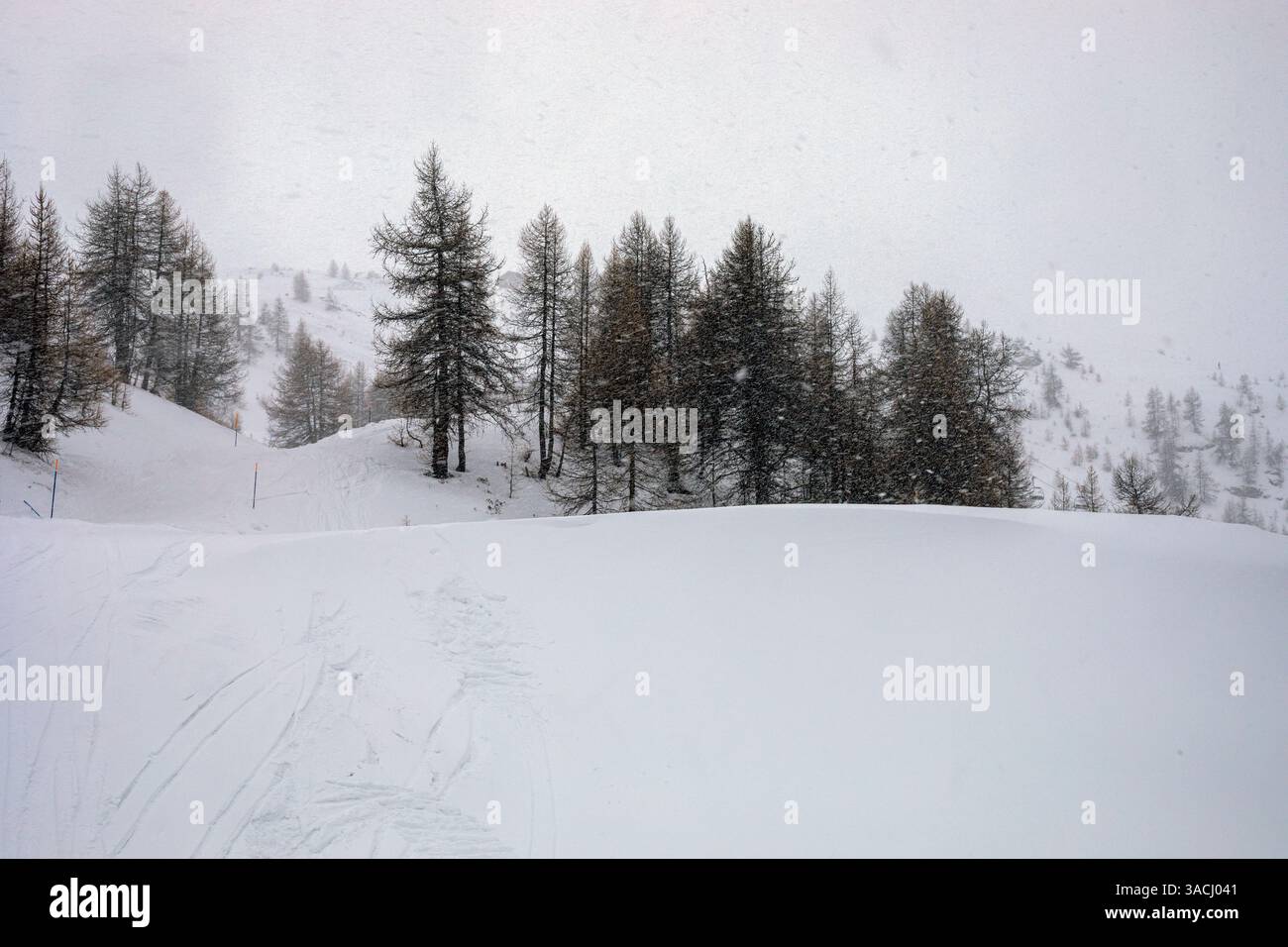 fog and snow on the top of a ski slope with reflective signs. Active ...