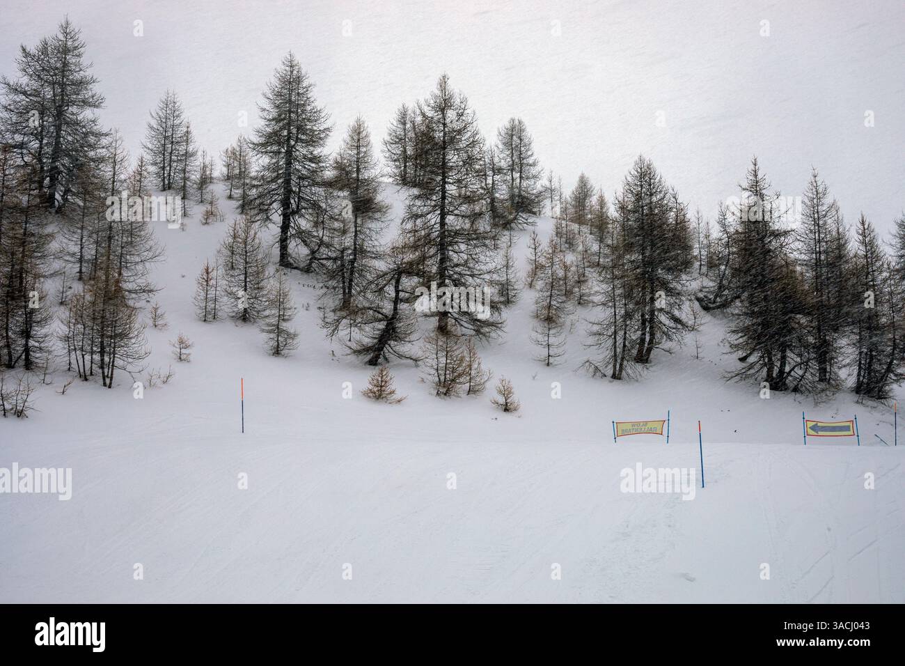 fog and snow on the top of a ski slope with reflective signs. Active ...