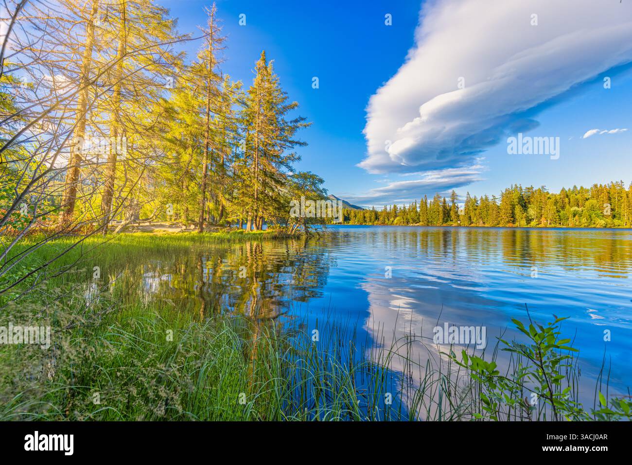 Mountain lake in summertime. great outdoor nature scenery. Pine forest ...