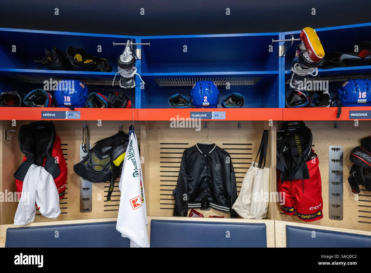 Budweis, Czech Republic. 04th Apr, 2025. Czech Republic will host the ...
