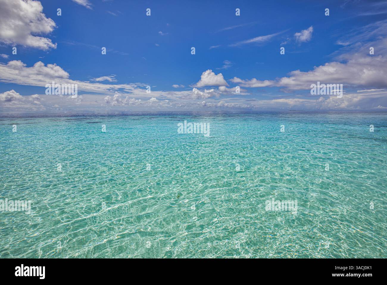 Tropical seascape crystal clear sea water, vibrant horizon stunning ...
