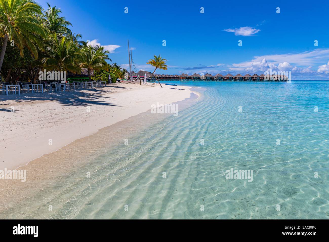 Luxurious Maldives beach resort stunning overwater villas, palm trees ...