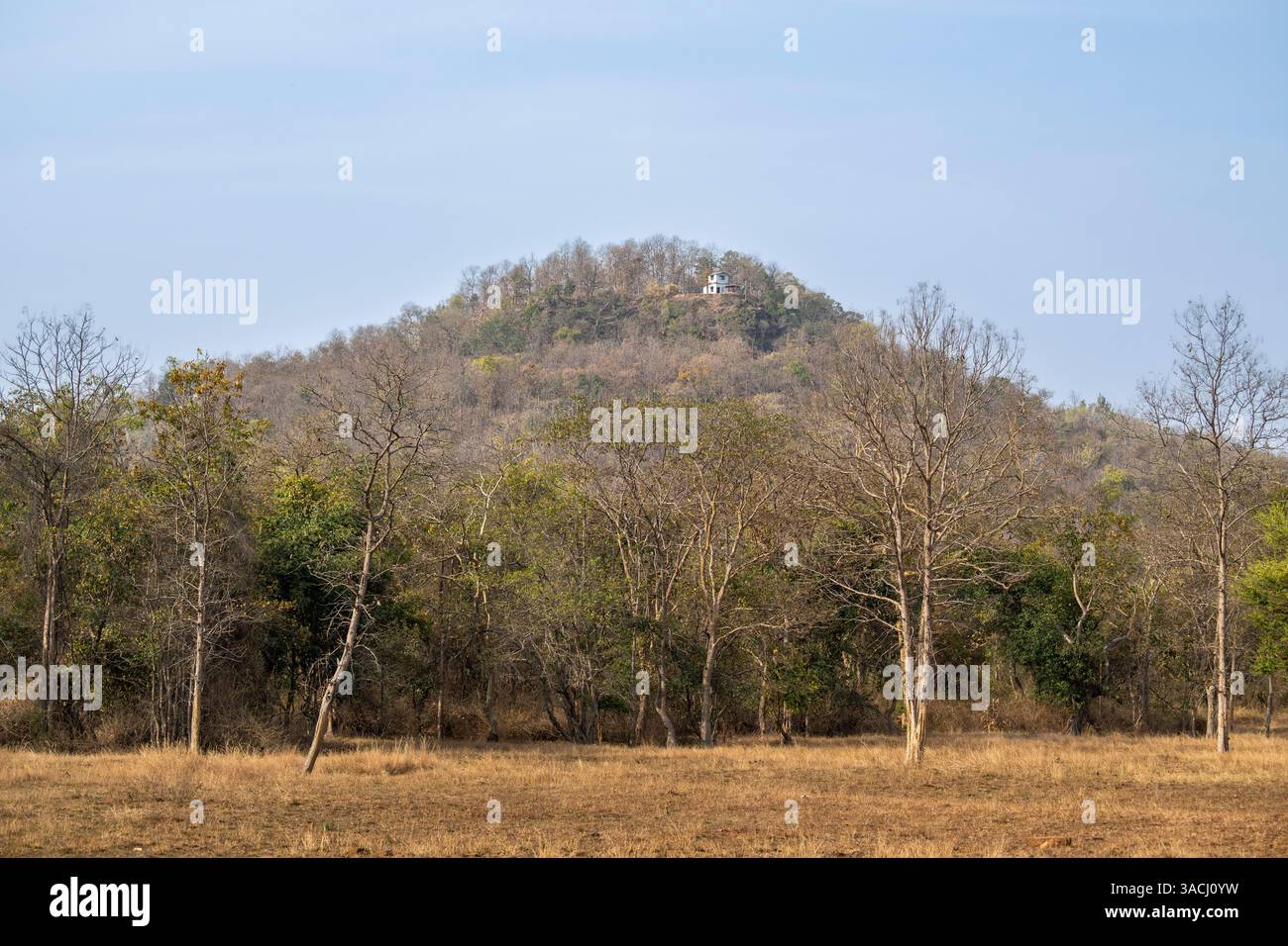 forest chowki outpost or camp at top of hill in safari at panna ...