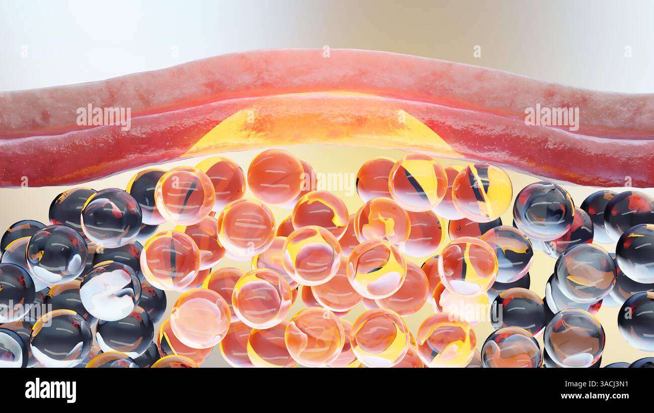 Weight loss Comparison. man body transformation. Before and after a ...