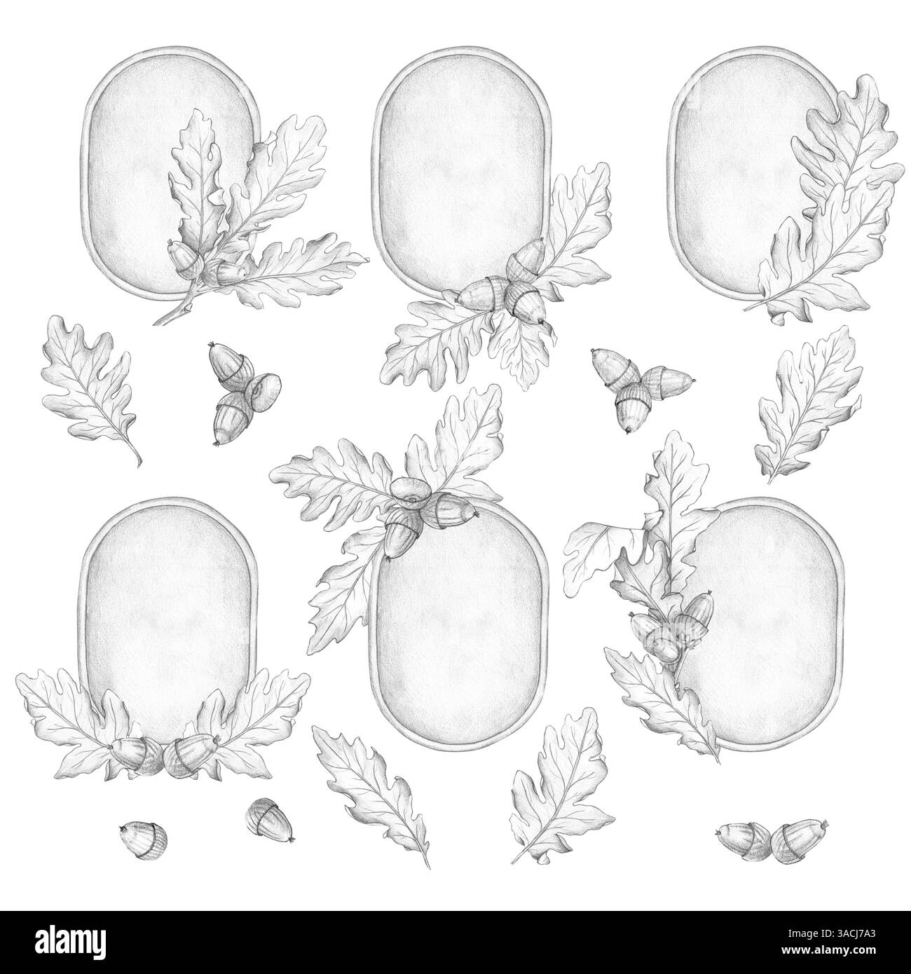 Family tree frames Black and White Stock Photos & Images - Alamy