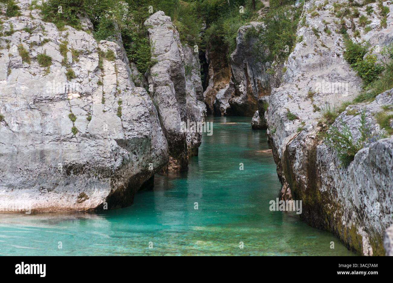 Great Soca Gorge, Soca river, in Slovenian Velika korita. Lepena Valley ...