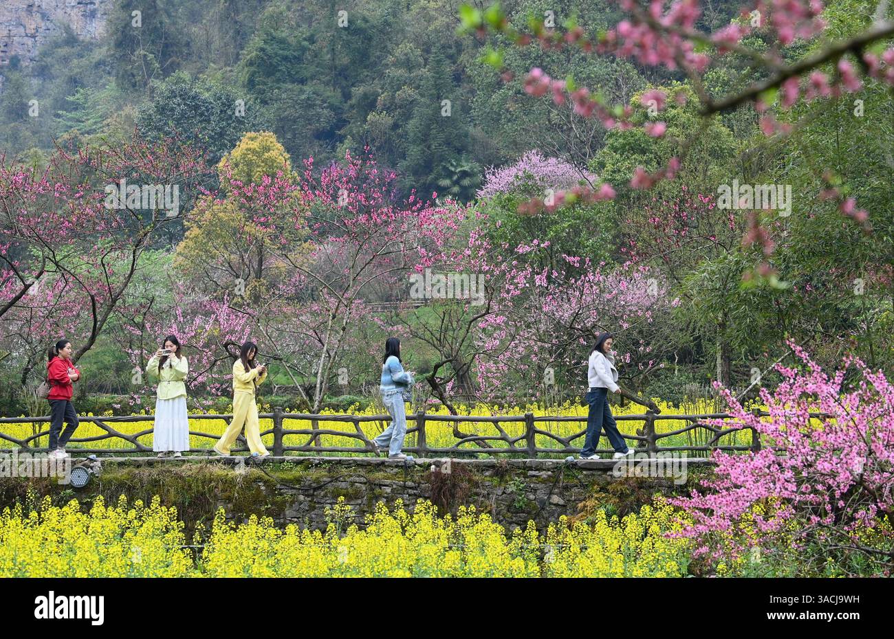 Beijing, China's Chongqing Municipality. 4th Apr, 2025. Tourists enjoy ...