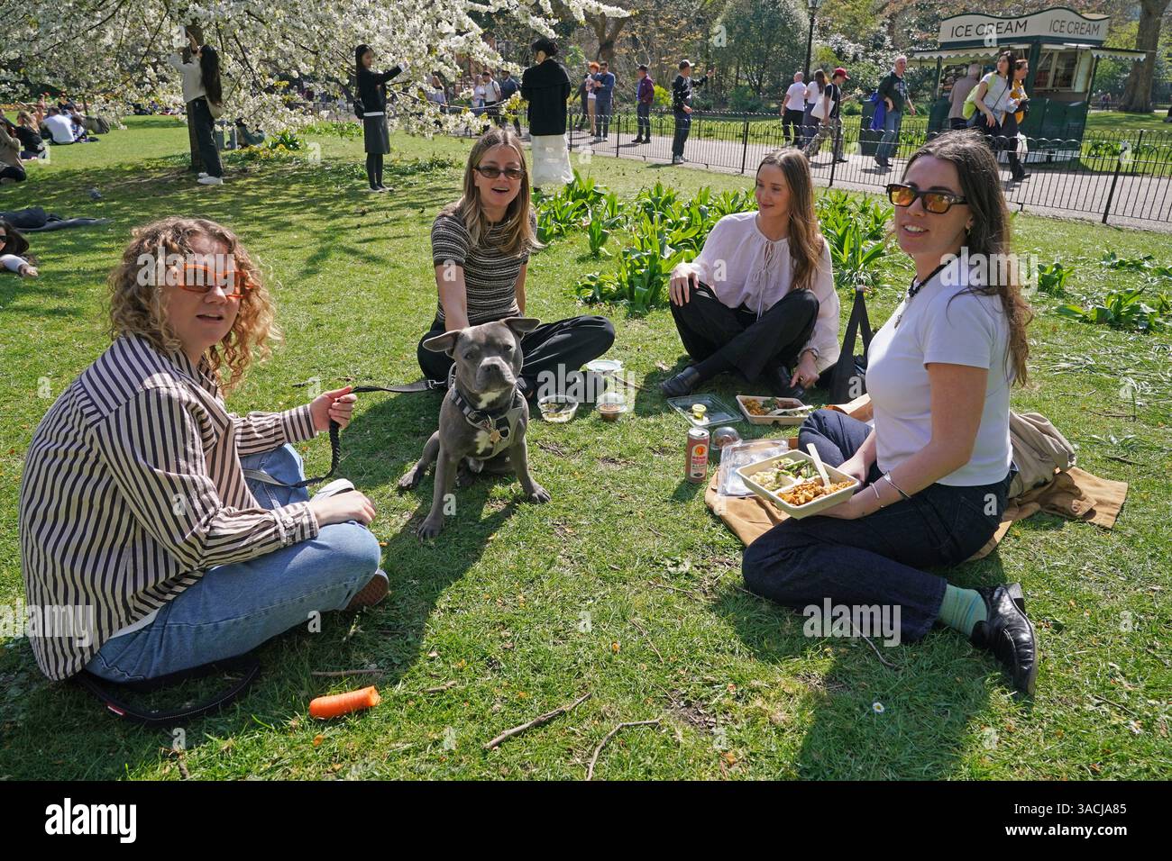 Emily Davey, Eliza Perkins, Sarah Clark and Tallulah McAloon sitting in ...