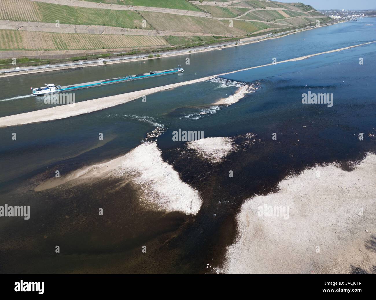 04 April 2025, Rhineland-Palatinate, Bingen: A barge passes the ...