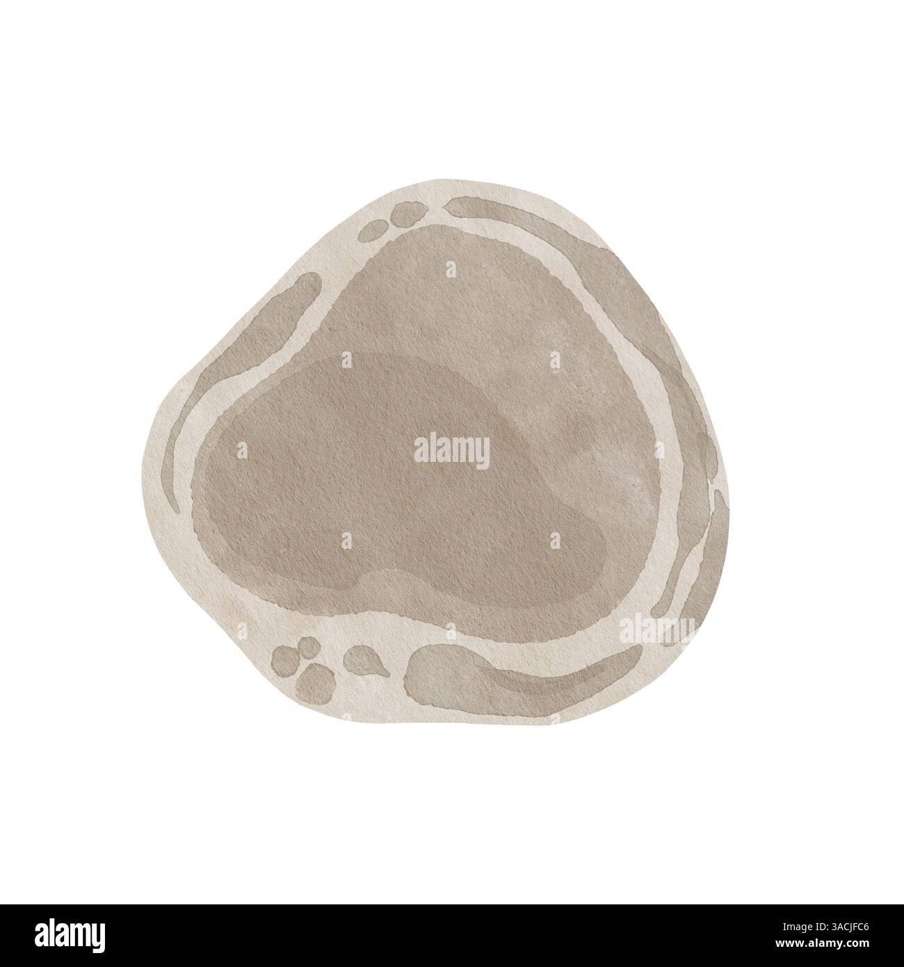 Hand brush fossil Cut Out Stock Images & Pictures - Alamy