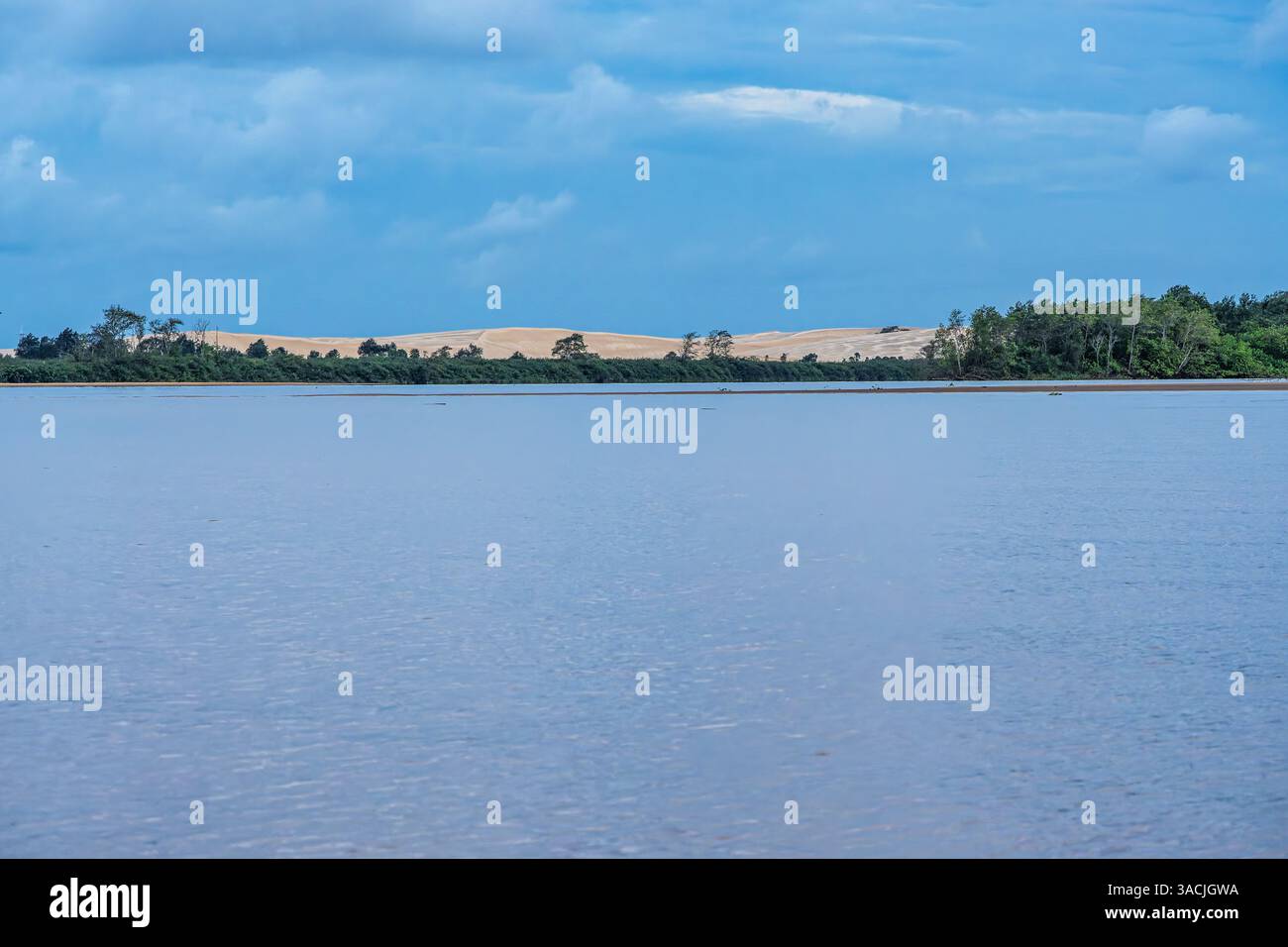 Boat trip on the Igarape do Urubu River, Delta das Americas, Ilha das ...