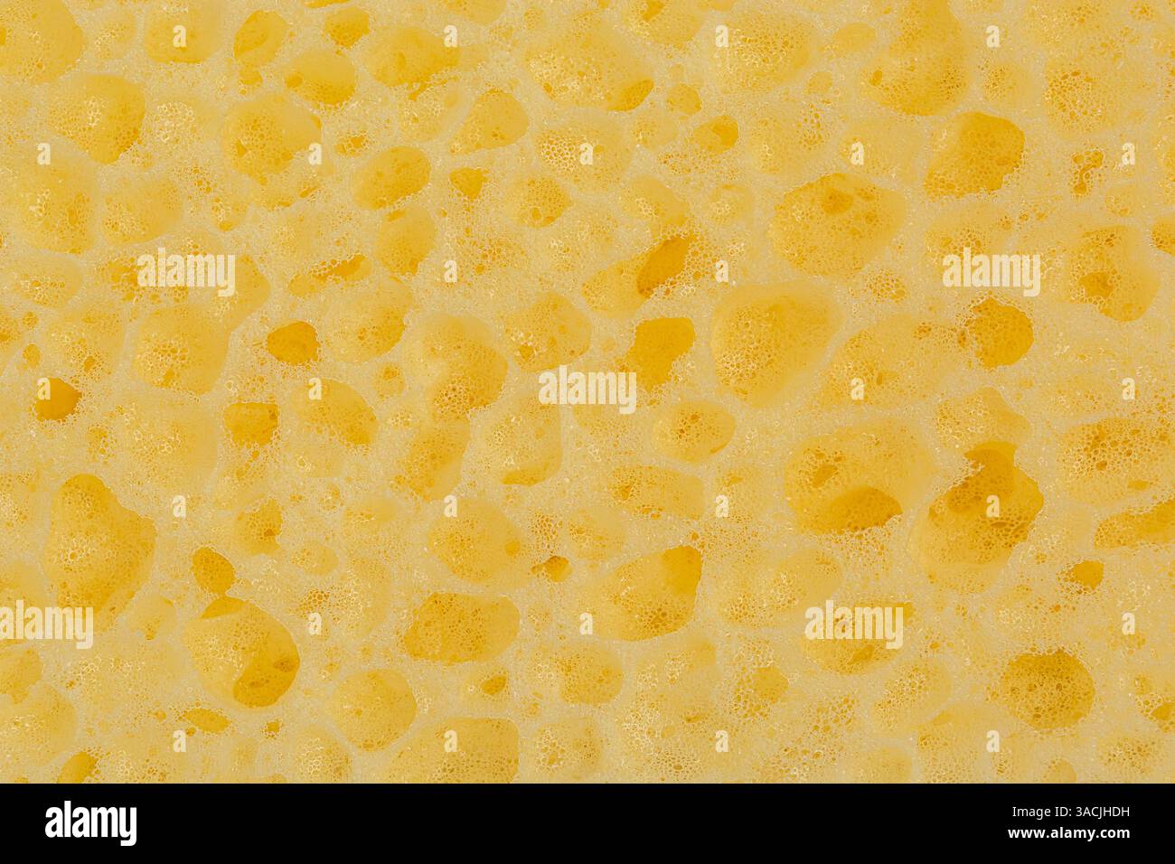 Porous yellow green washing sponge hi-res stock photography and images ...