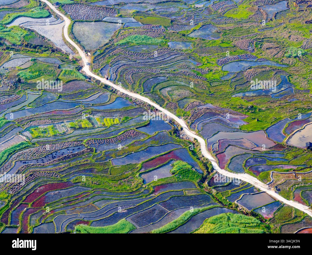 CONGJIANG, CHINA - APRIL 3, 2025 - Aerial photo shows rice terraces in ...