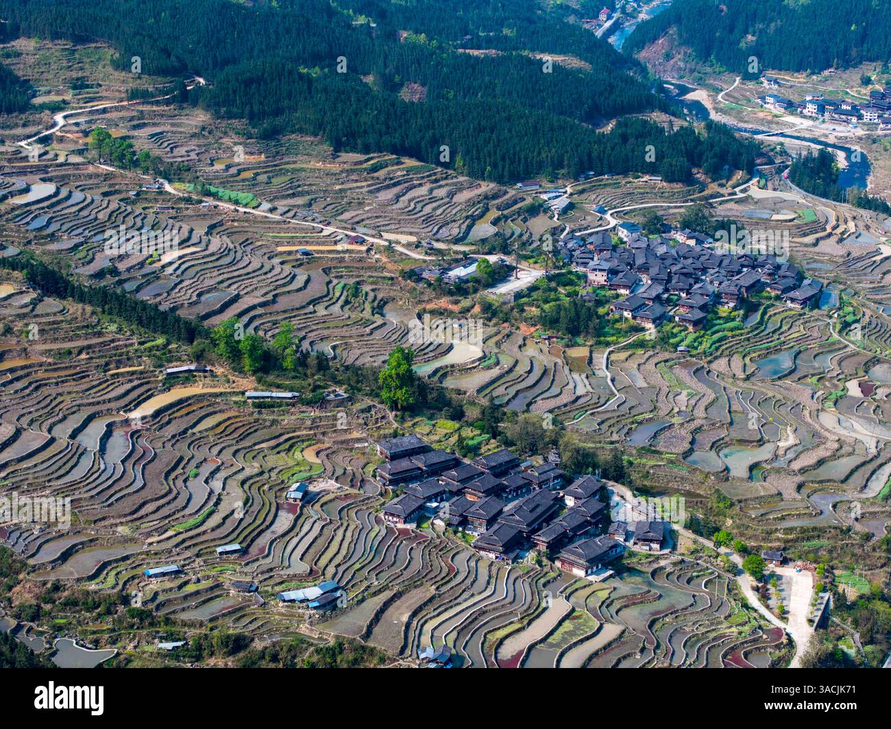 CONGJIANG, CHINA - APRIL 3, 2025 - Aerial photo shows rice terraces in ...