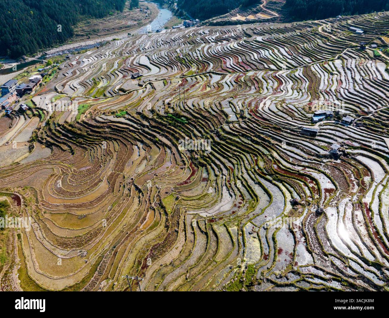 CONGJIANG, CHINA - APRIL 3, 2025 - Aerial photo shows rice terraces in ...