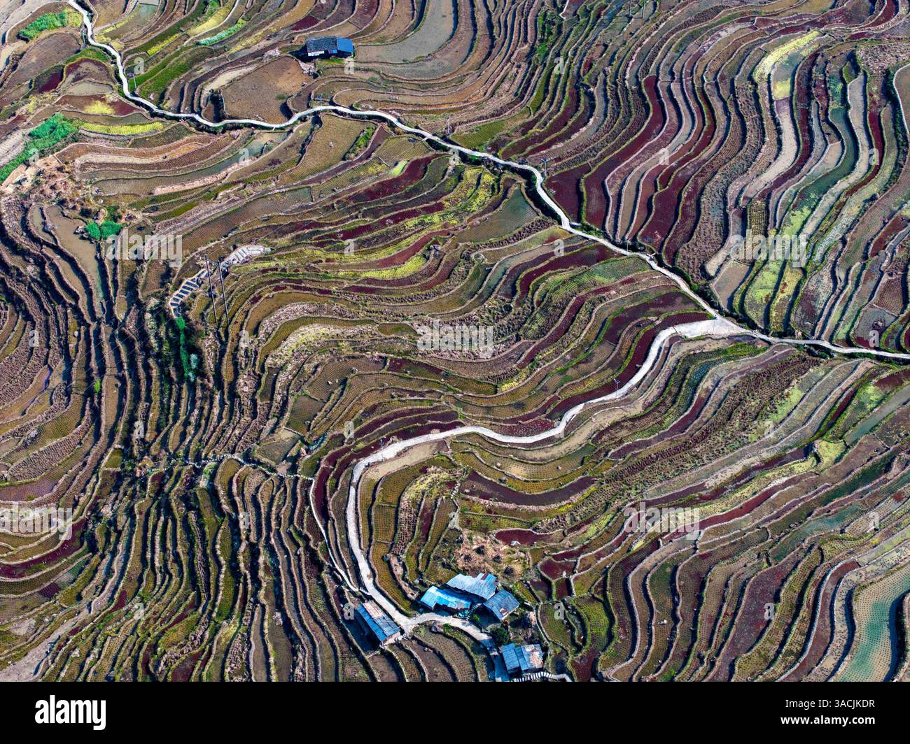 CONGJIANG, CHINA - APRIL 3, 2025 - Aerial photo shows rice terraces in ...