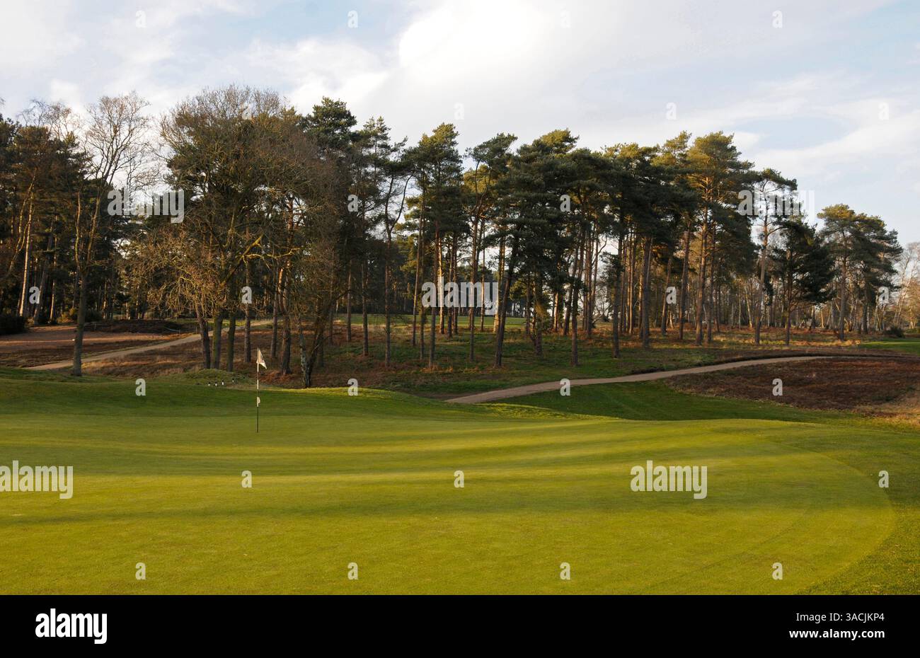 View over 10th Green with flag to trees and 11th Hole, Ipswich Golf ...