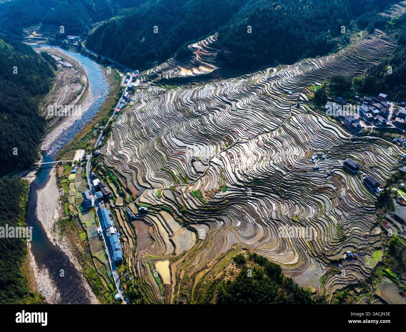 CONGJIANG, CHINA - APRIL 3, 2025 - Aerial photo shows rice terraces in ...