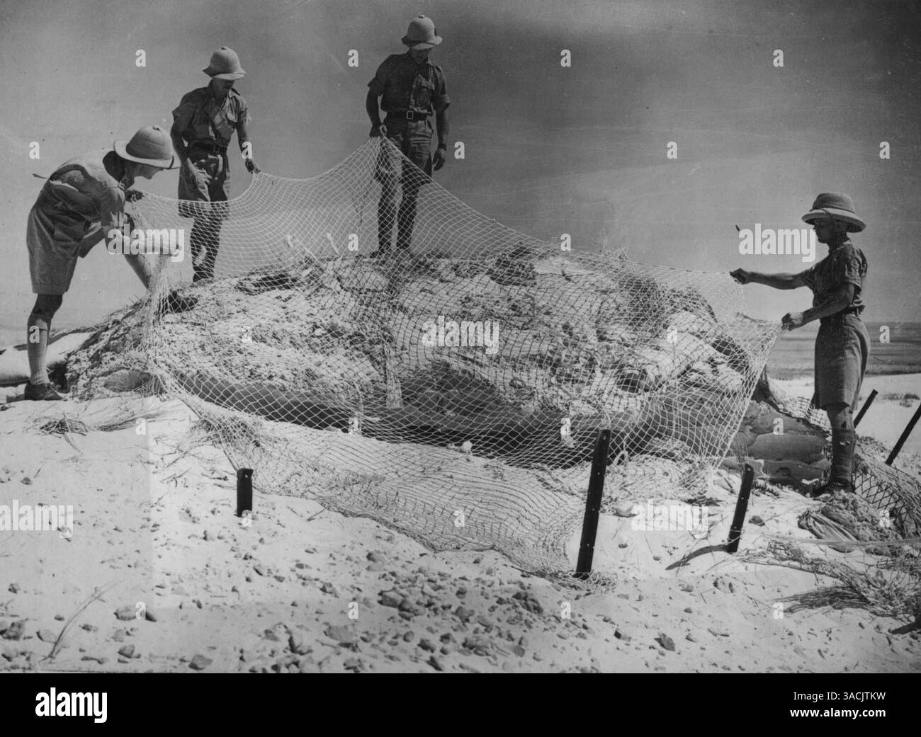 Scottish troops camouflaging a gun position. Many Scottish Regiment are ...