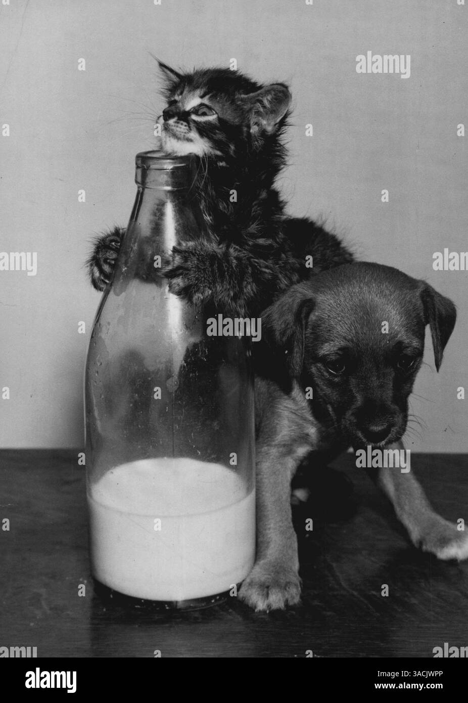 Couldn't resist hi-res stock photography and images - Alamy