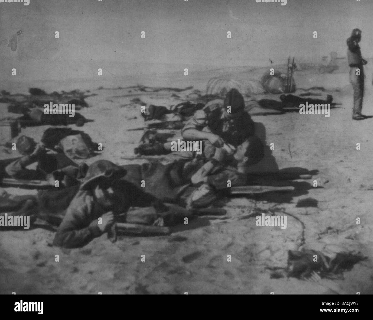 British Wounded In Egyptian Desert - The first wounded British soldiers ...