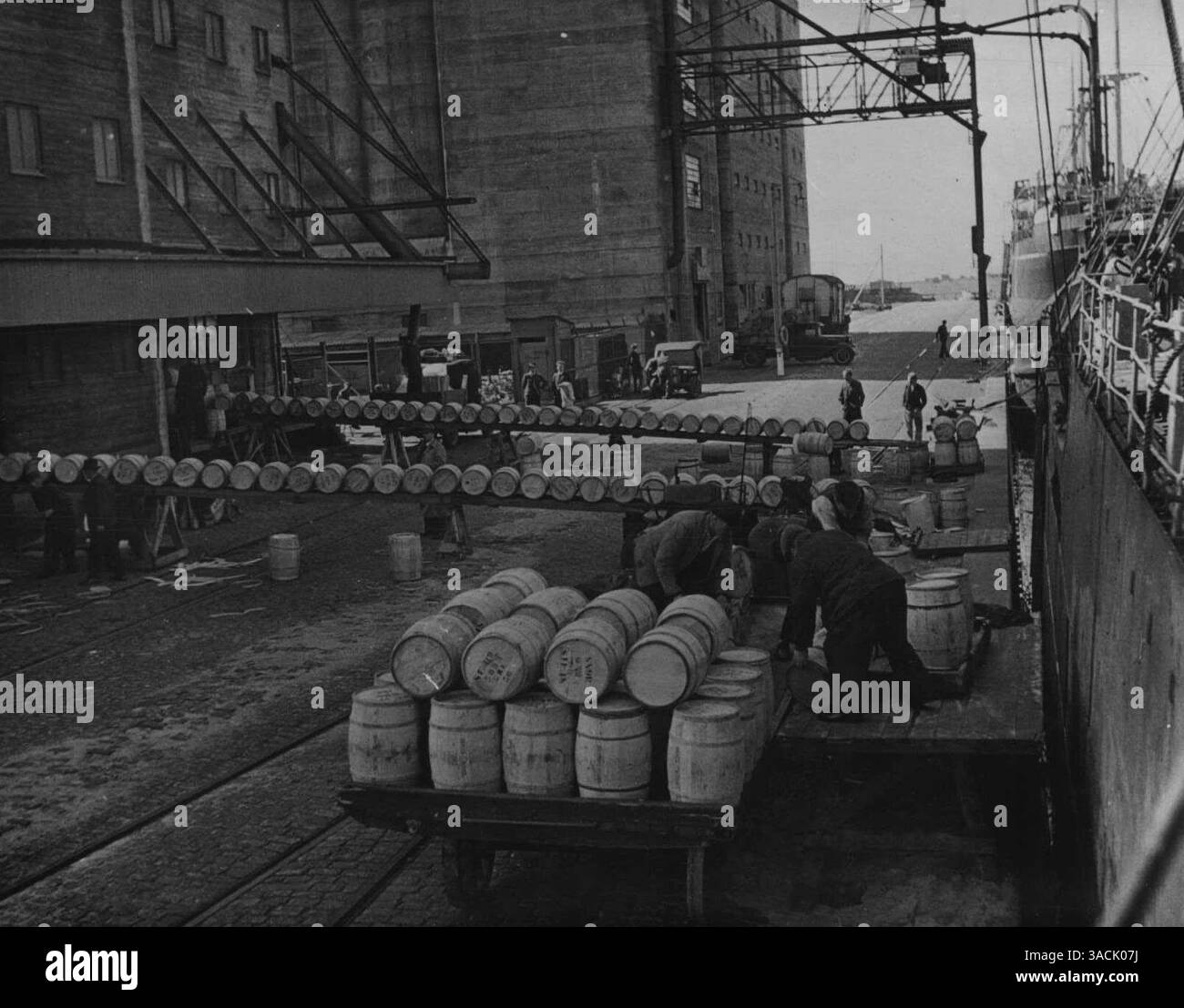Danish Butter For Britain -- Horse-drawn carts bring the butter direct ...