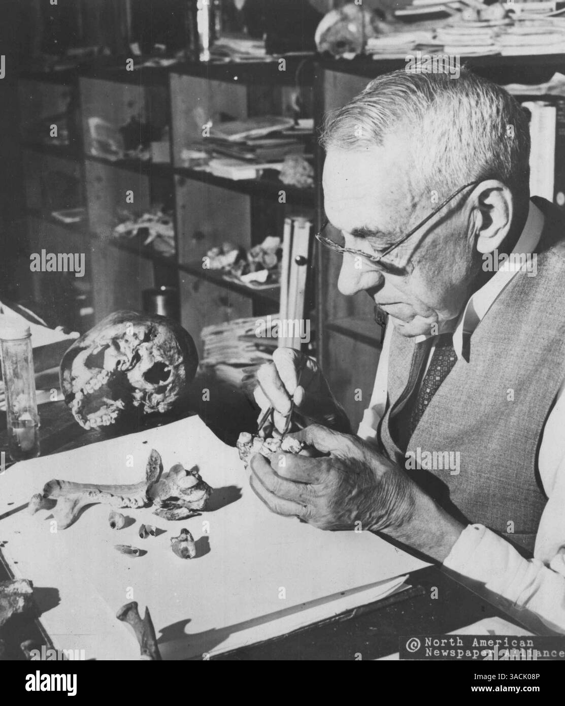 Photo Captions: A - Dr. Robert Broom is shown here at his laboratory in ...