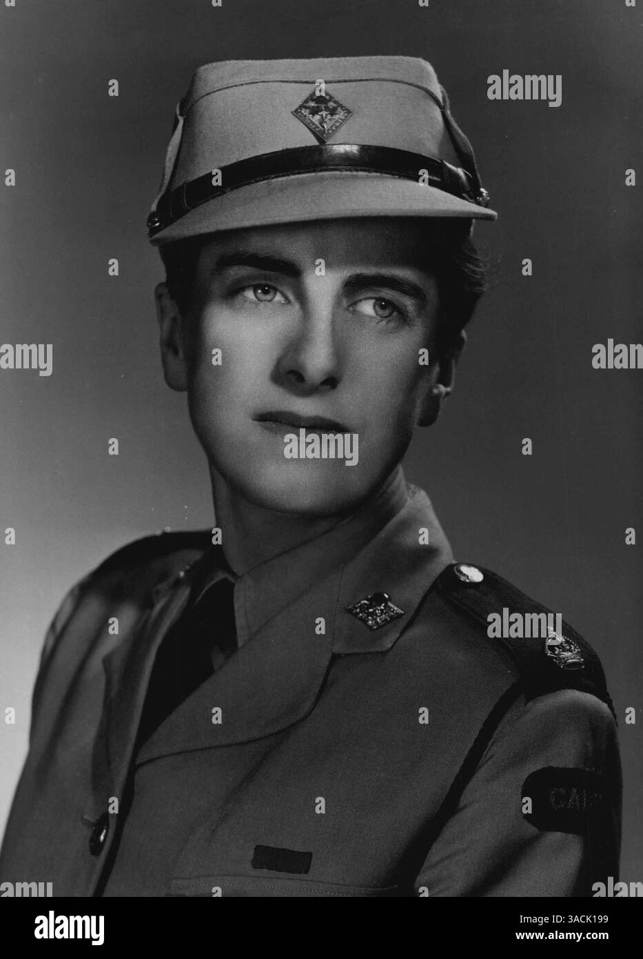 Phyllis major hi-res stock photography and images - Alamy