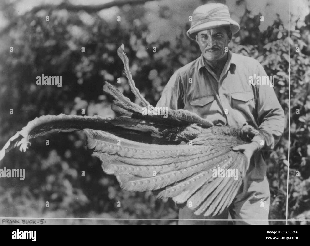 Frank Buck. April 02, 1934 Stock Photo - Alamy