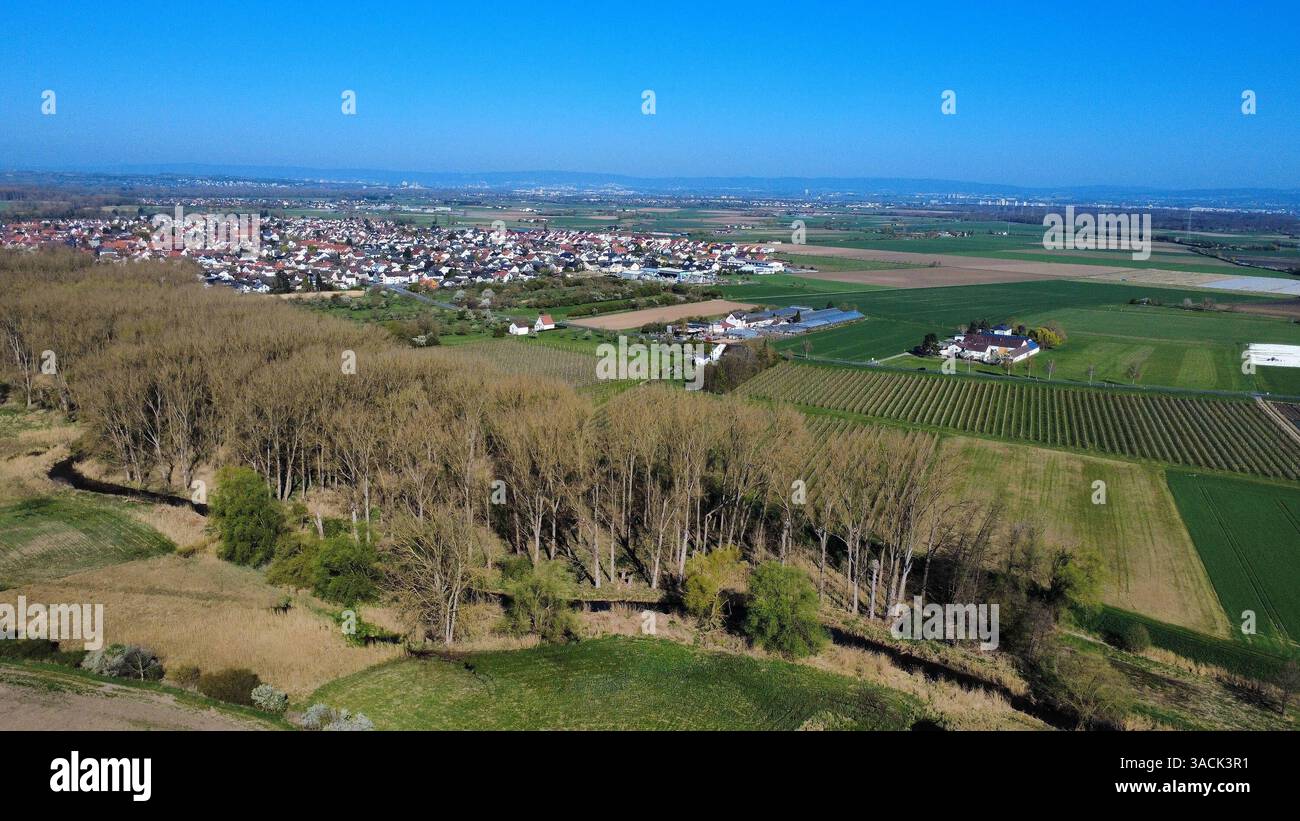 Blick auf das Pappelwäldchen und die Schwarzbachauen im Südosten von ...