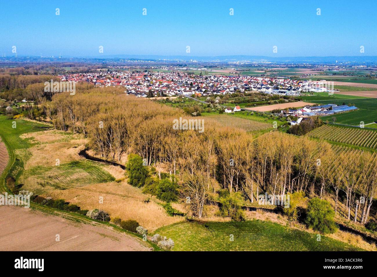 Blick auf das Pappelwäldchen und die Schwarzbachauen im Südosten von ...