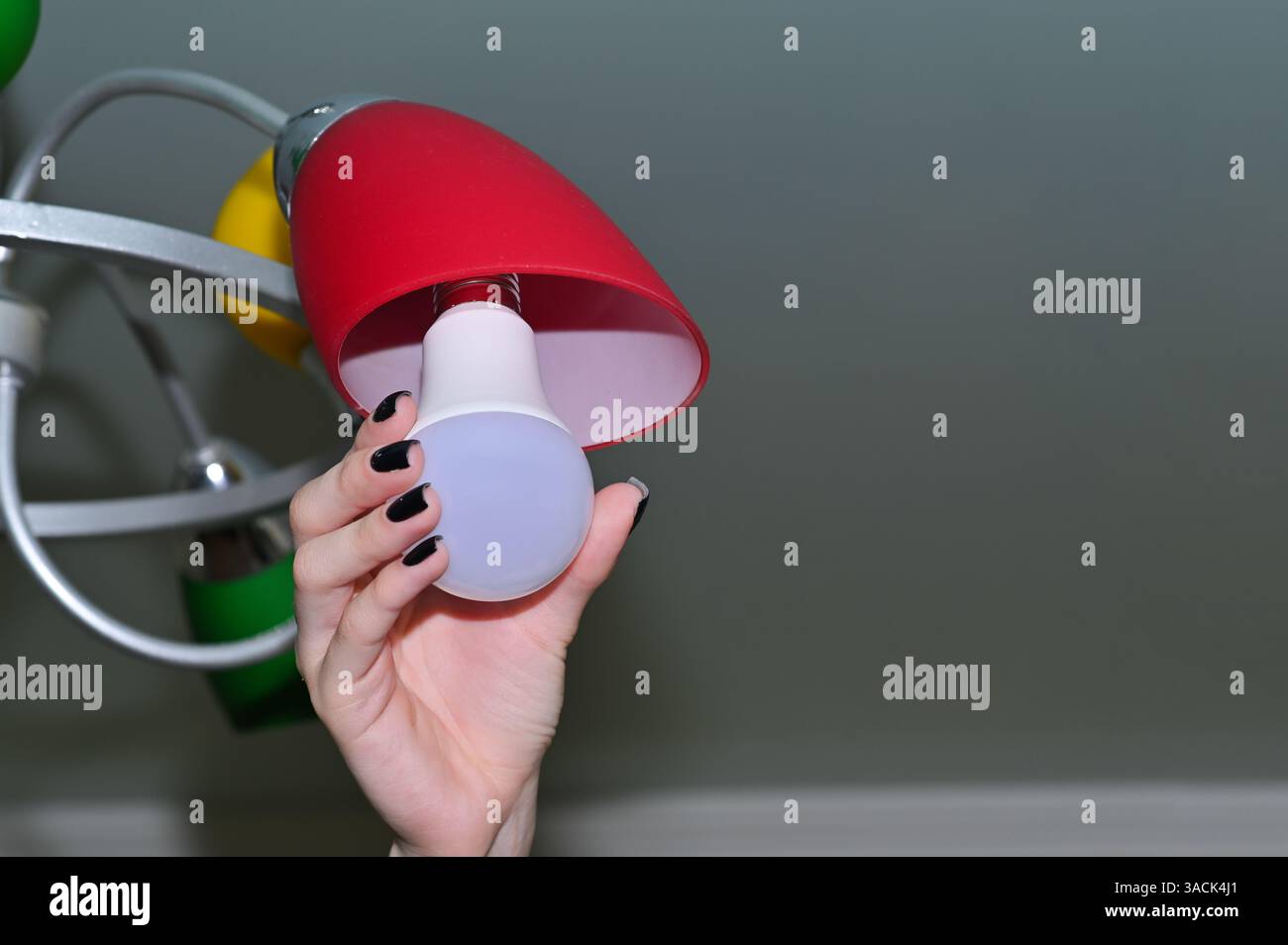 The LED light bulb is installed by a female hand in a lamp Stock Photo ...
