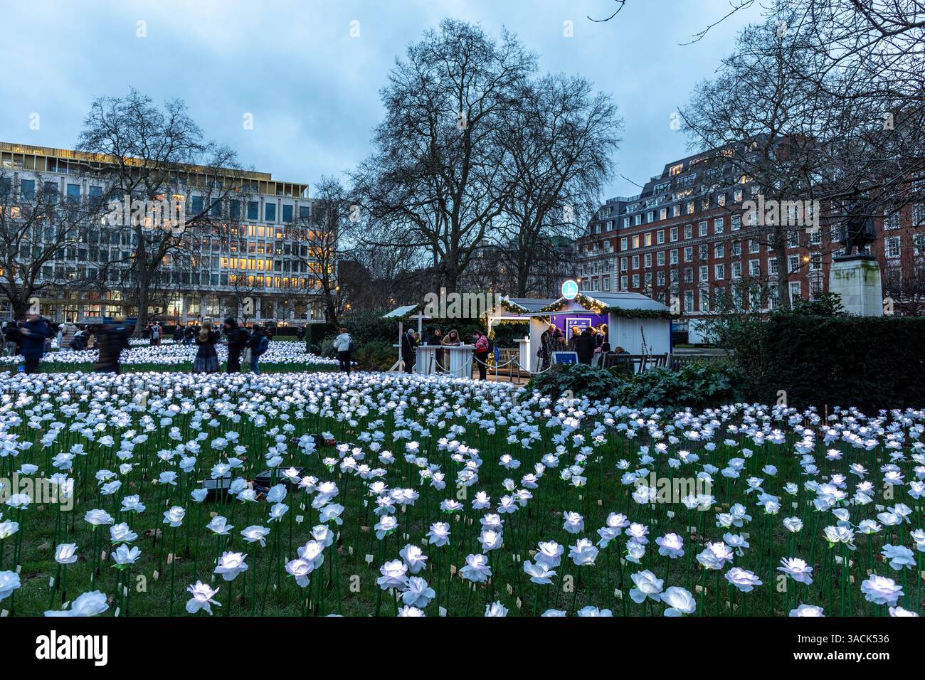 The Royal Marsden Ever After Garden in Grosvenor Square at Night London ...