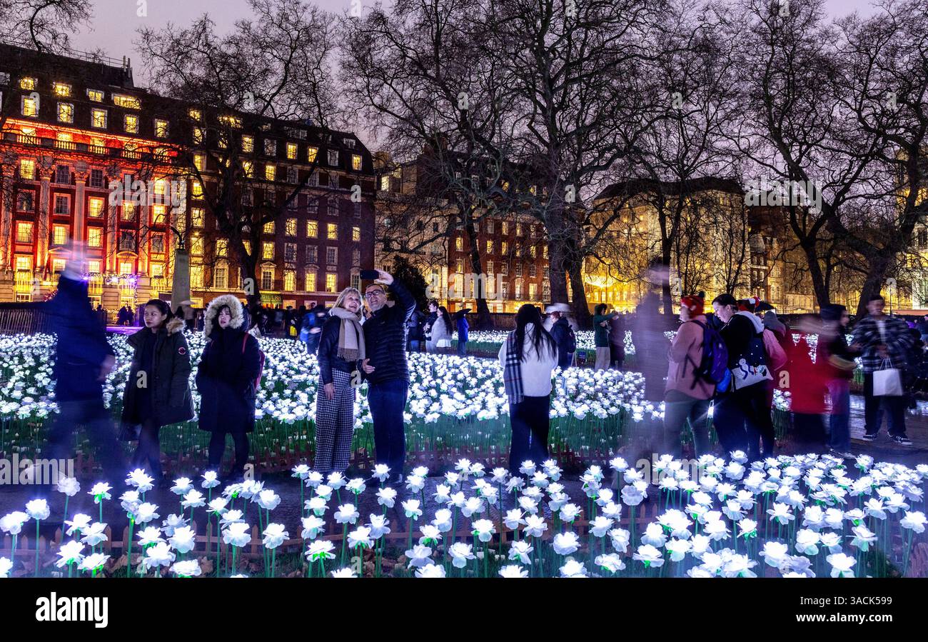 The Royal Marsden Ever After Garden in Grosvenor Square at Night London ...