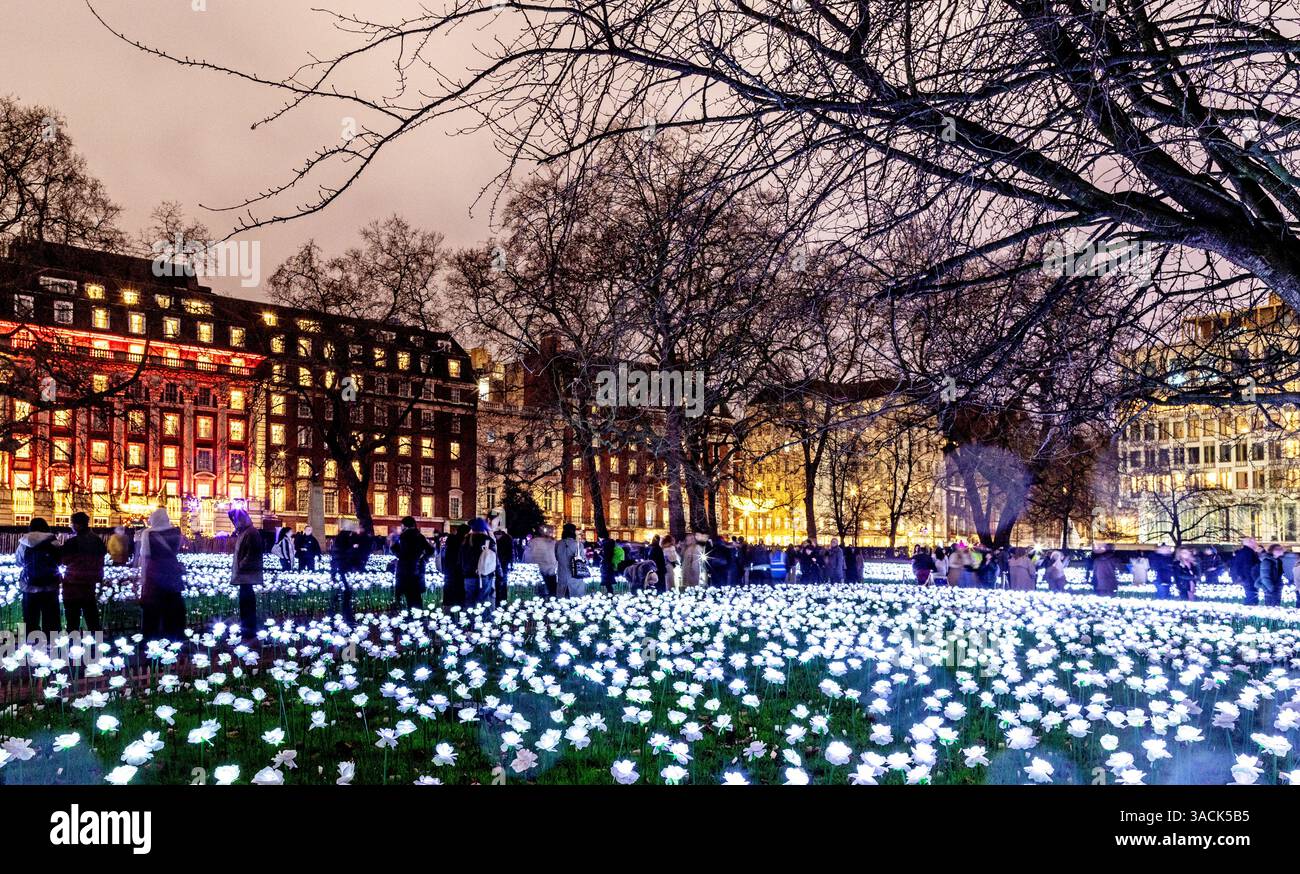 The Royal Marsden Ever After Garden in Grosvenor Square at Night London ...