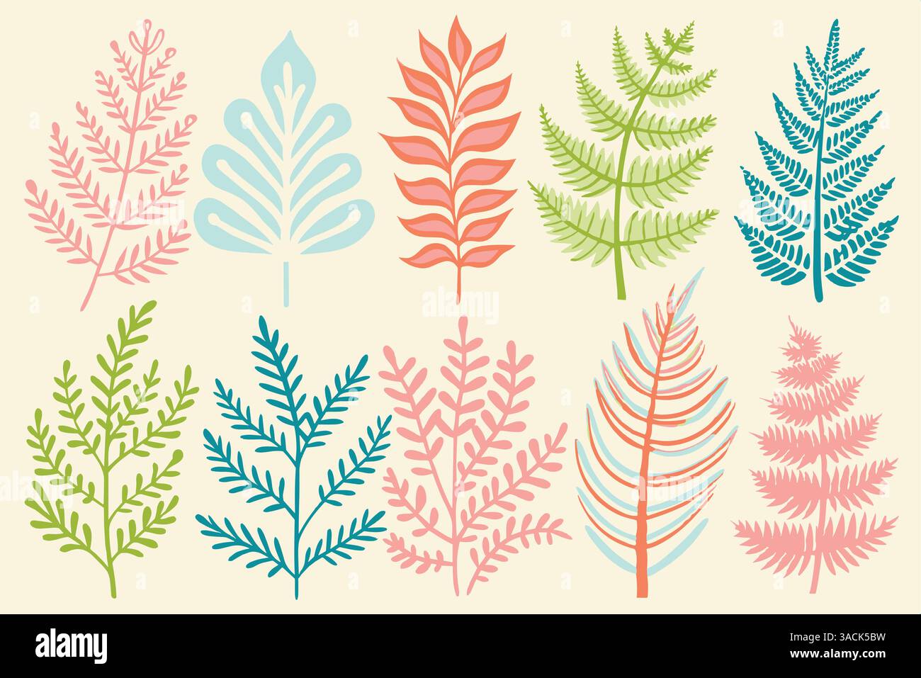 Colorful botanical illustration featuring various stylized fern leaves ...