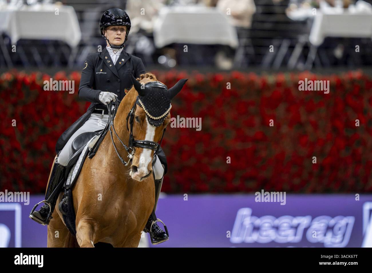 Bianca Nowag-Aulenbrock of Germany on Florine OLD competes during the ...