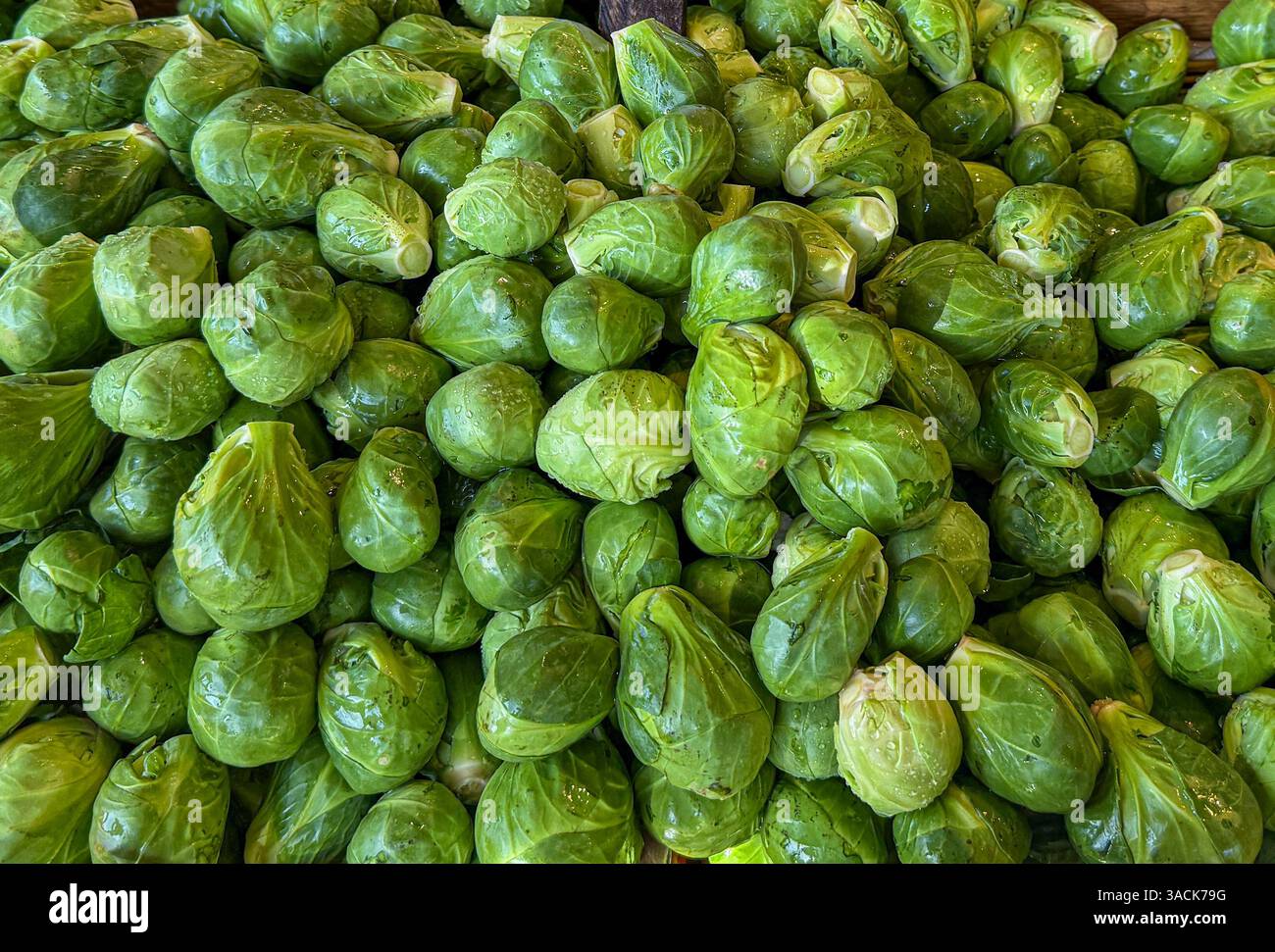 Brussel sprout display at farmers market Stock Photo - Alamy