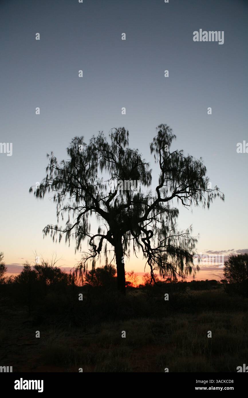 Oct 26, 2007 - Northern Territory, Australia - Chambers Pillar ...