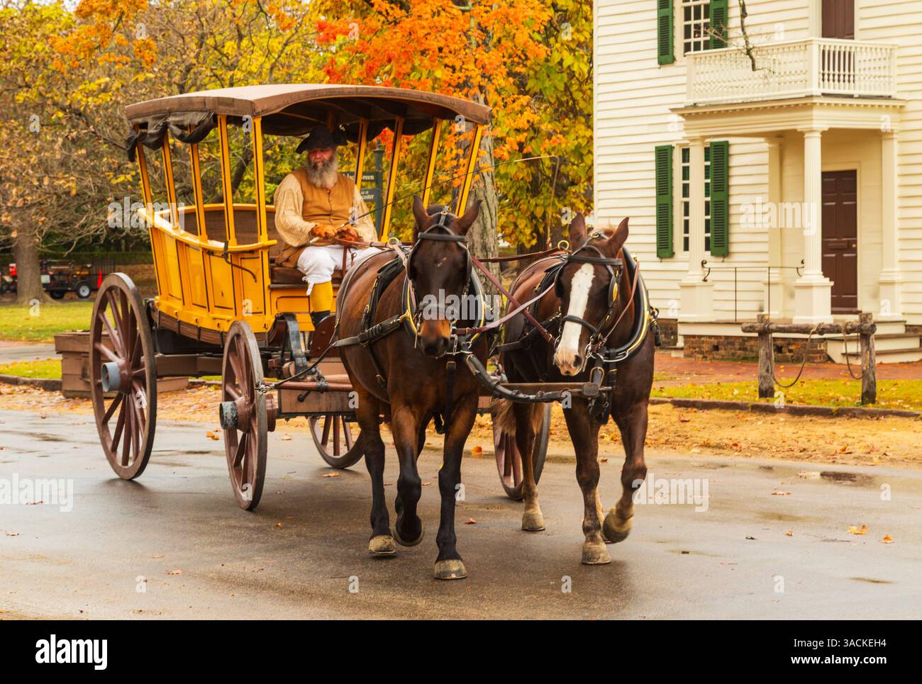 Horse And Carriage Colonial Williamsburg Stock Photo - Alamy
