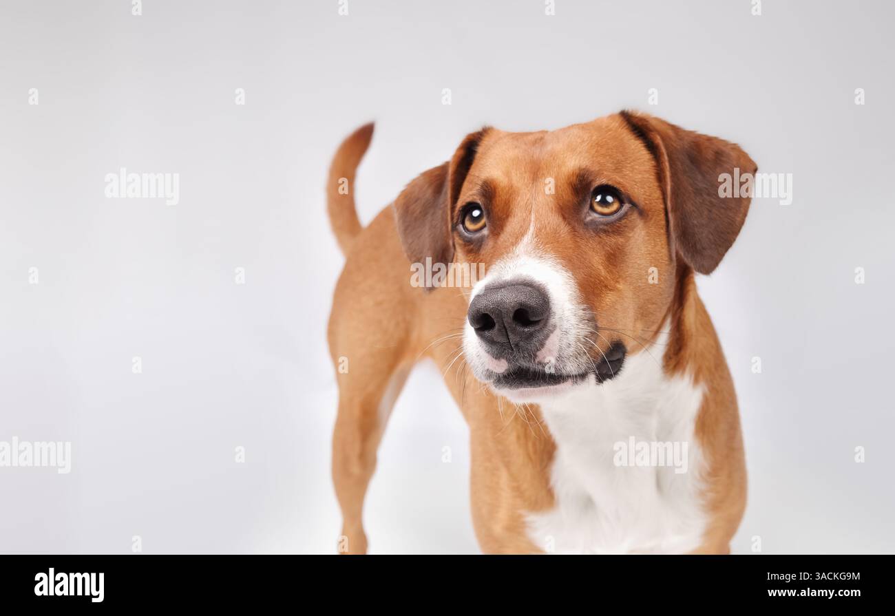 Focused glare hi-res stock photography and images - Alamy
