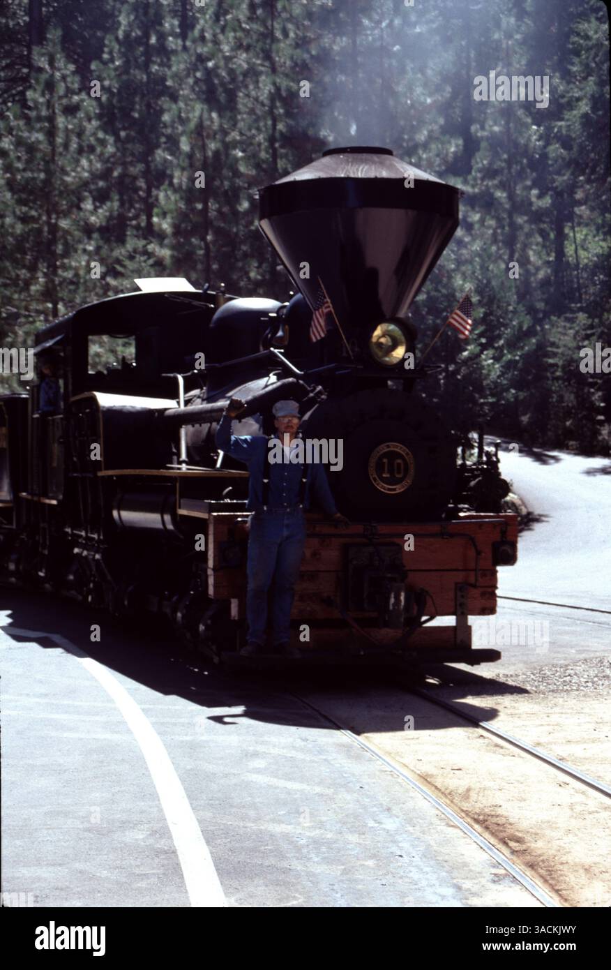 Yosemite National Park California USA. Yosemite Mountain Sugar Pine ...