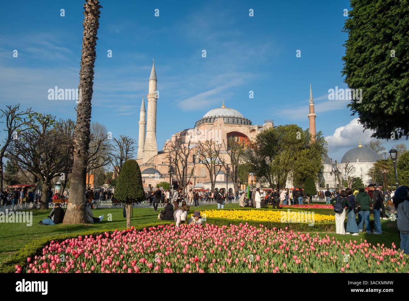 04.03.2025, Istanbul. Hagia Sophia Grand Mosque with Colorful Spring ...