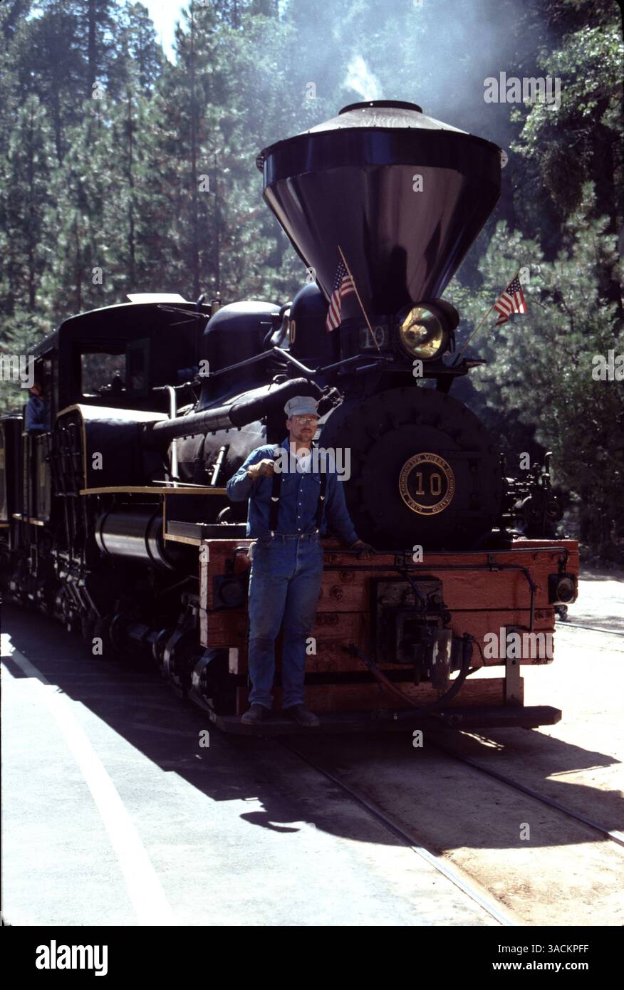 Yosemite National Park California USA. Yosemite Mountain Sugar Pine ...