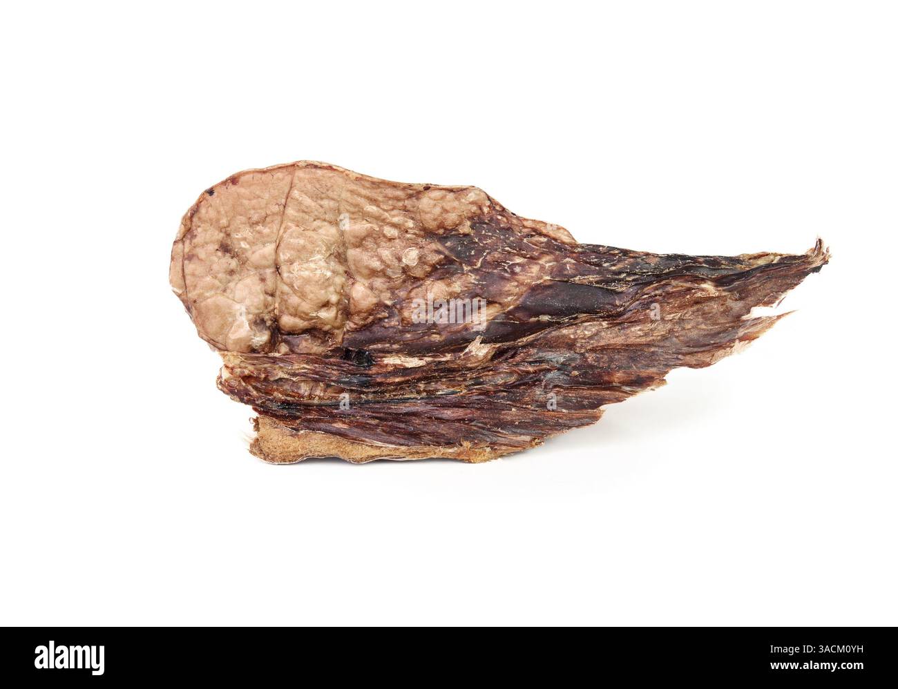 Dried beef lung treat for dog snacks. Large air dried or dehydrated ...