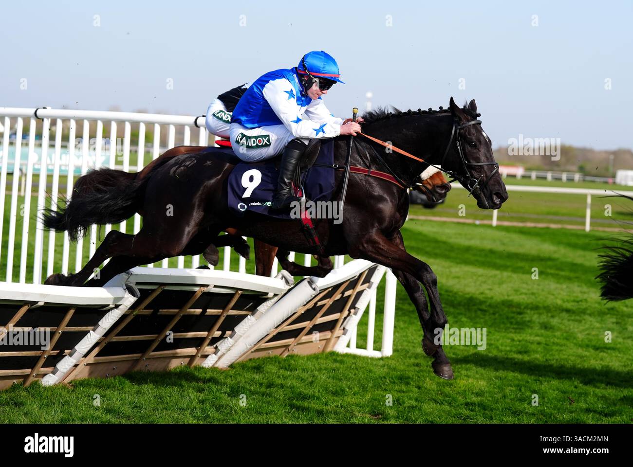 King Of Answers ridden by Craig Nichol during the Oddschecker Sefton ...